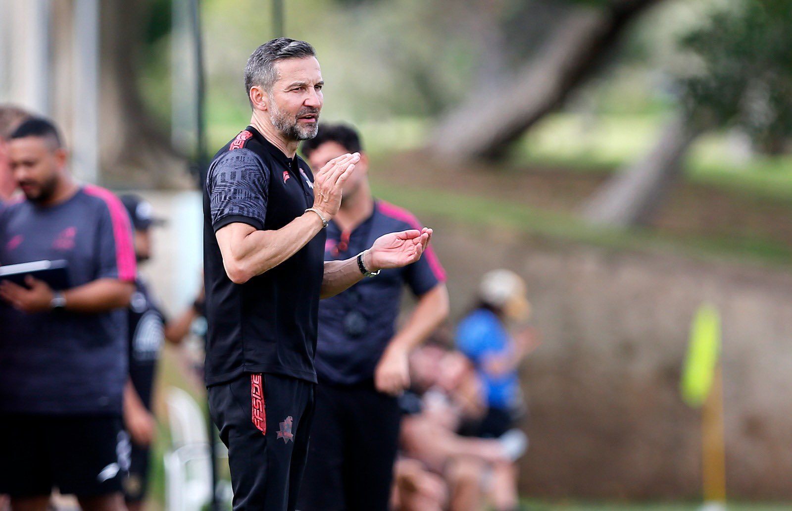 Josef Zinnbauer appointed Al Wehda manager